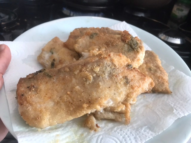 Receita de Filé de dourado empanado, enviada por gisele siqueira passos ...