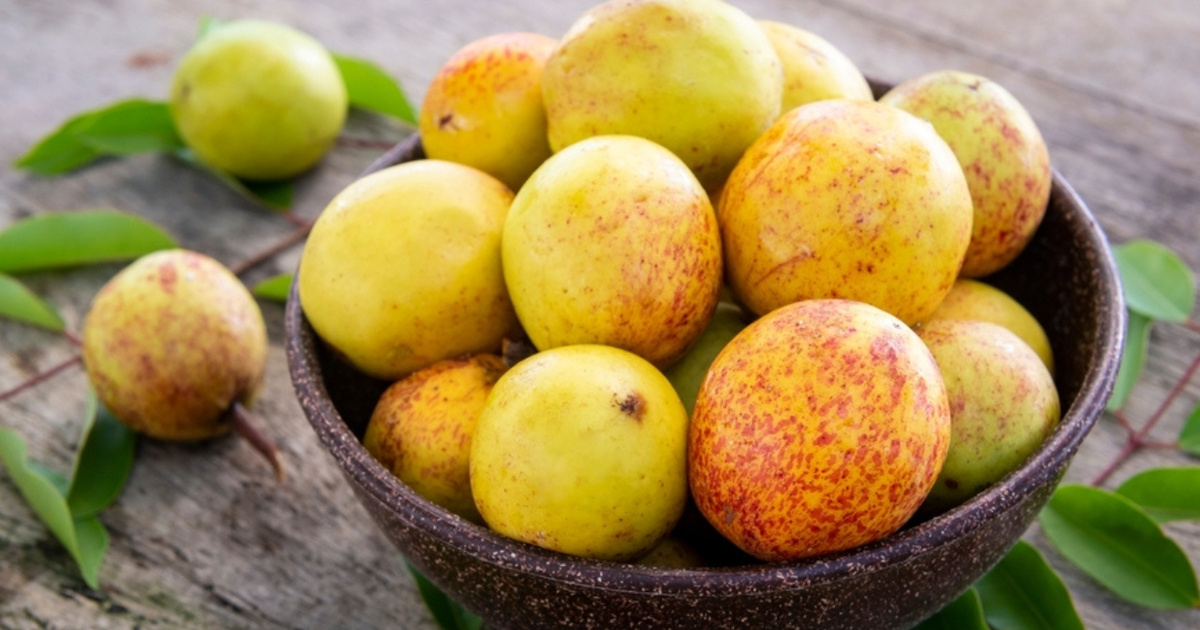 O que é mangaba? Conheça a fruta de polpa suculenta que faz muito bem ...