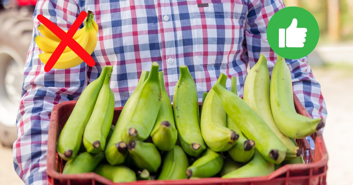 Banana verde: quais os benefícios de comer uma fruta por dia e por que ...
