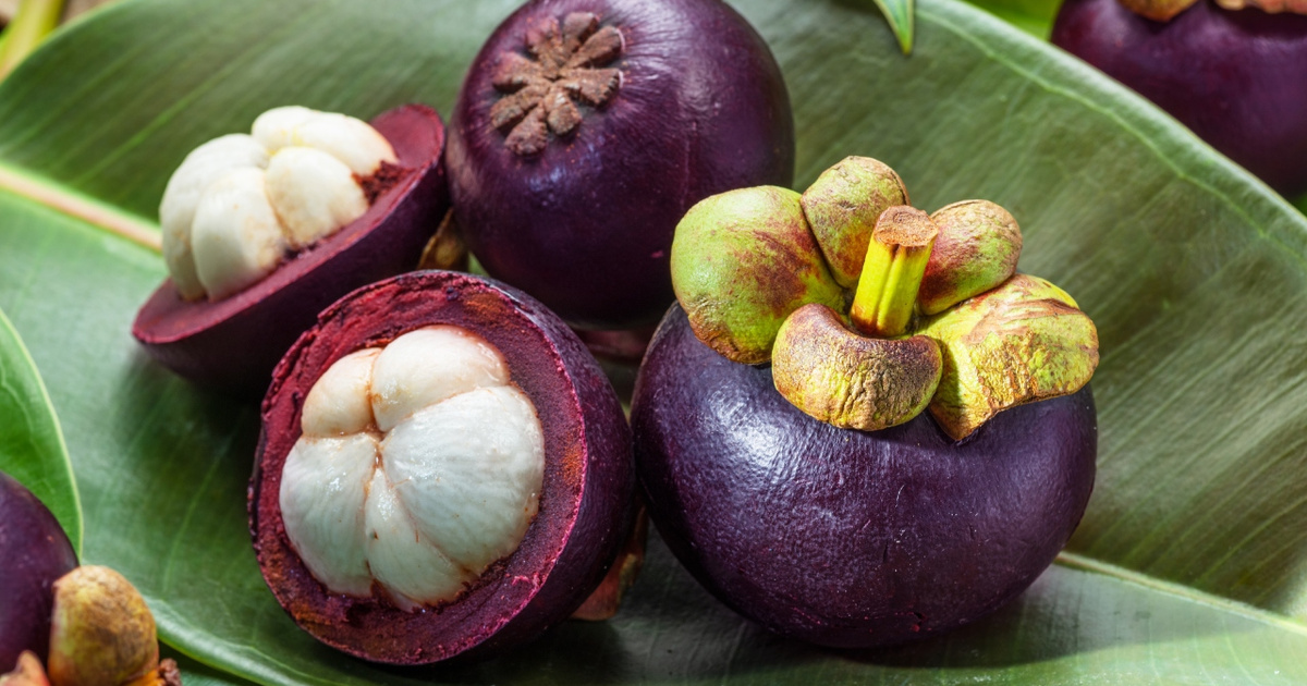 Pouca gente sabe, mas a fruta mais cara no Brasil em 2025 pode custar ...