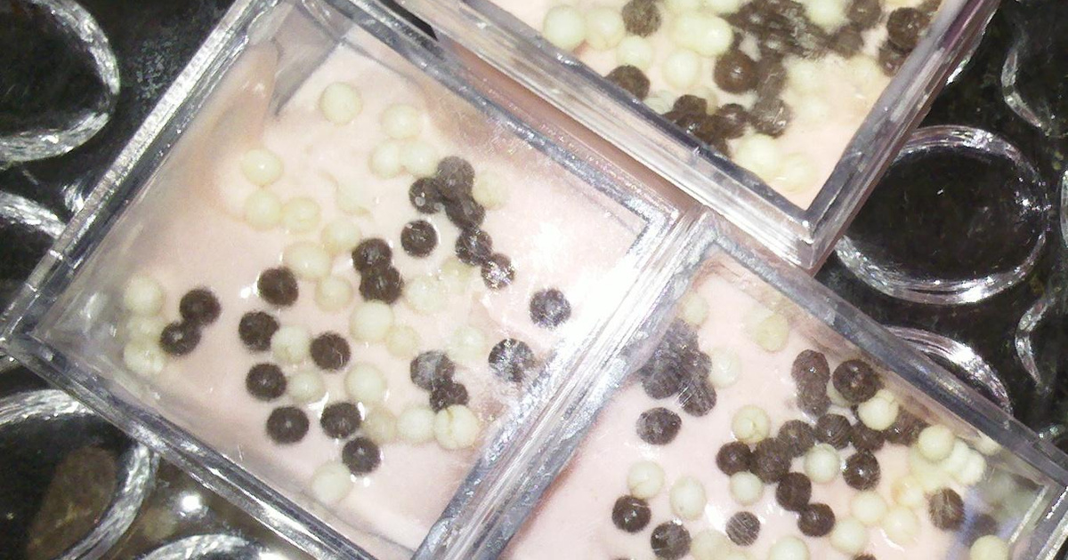 Receita de Danone caseiro, enviada por luiz eduardo teixeira junior ...