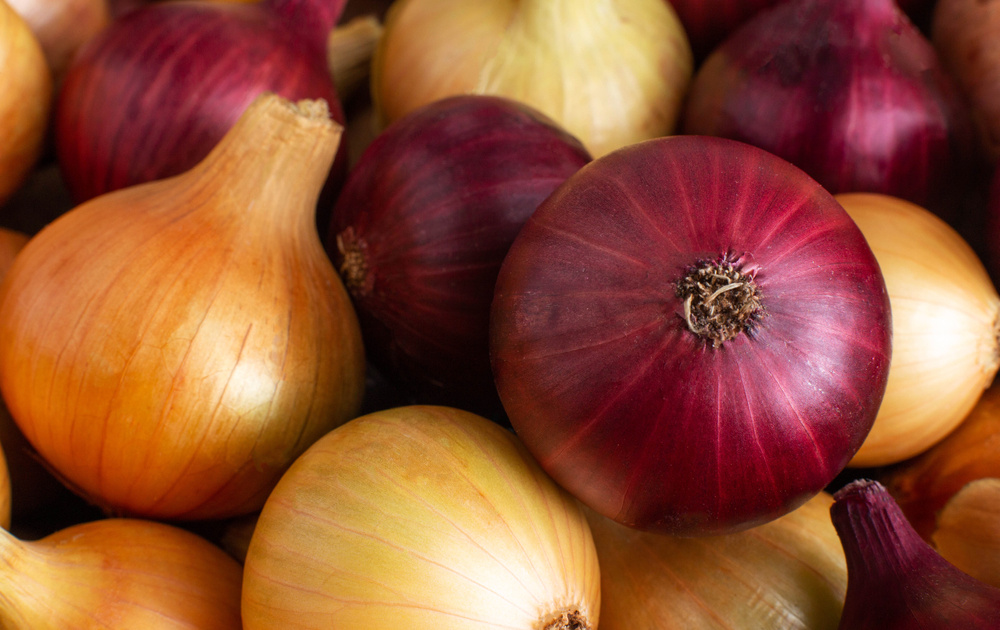 Você sabe quando usar cebola roxa e cebola branca? Aprenda com o ...