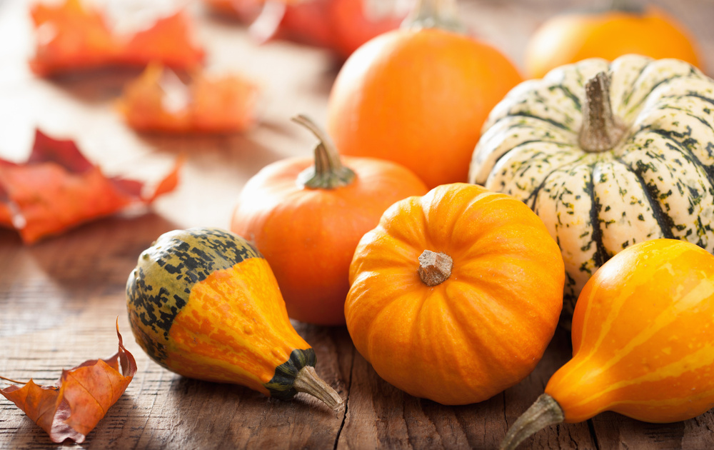 Abóbora: conheça 4 tipos diferentes