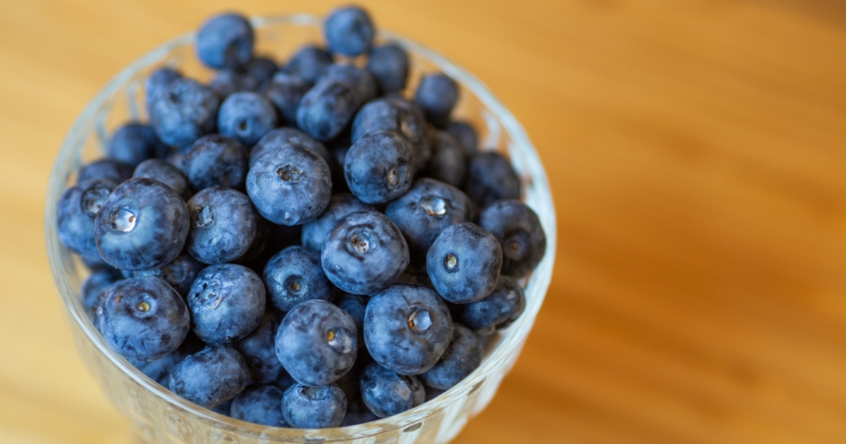 Plantar blueberry sai muito mais barato que comprar no mercado: aprenda ...