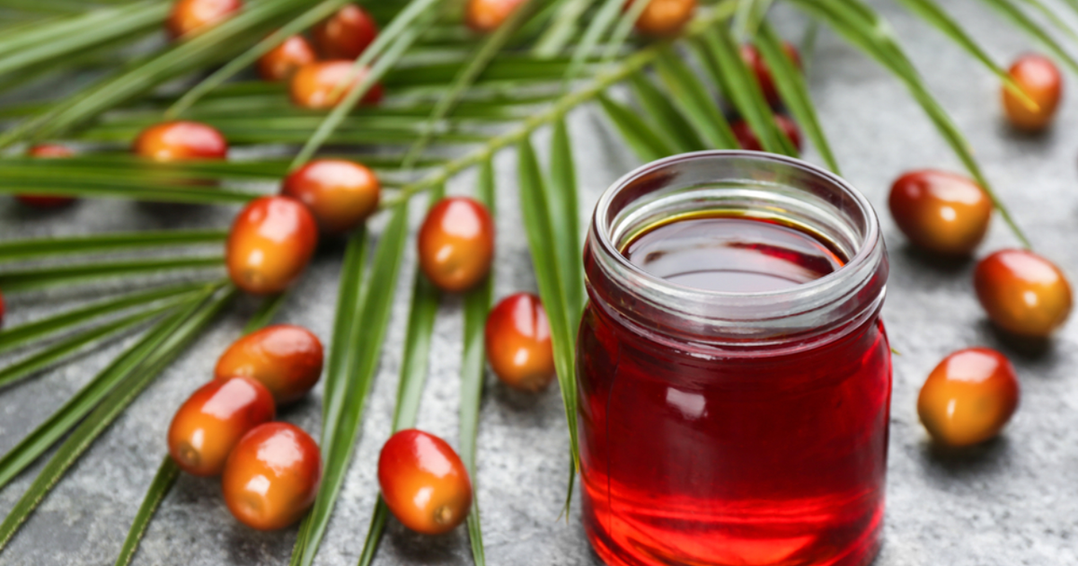 Estrutura Do Fruto Do Dende Azeite De Dendê: Conheça Esse