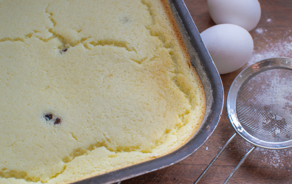 Receita de Torta de ricota, enviada por ellen - TudoGostoso