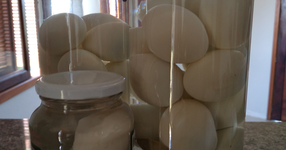 Ovos de galinha temperados em conserva - TudoGostoso