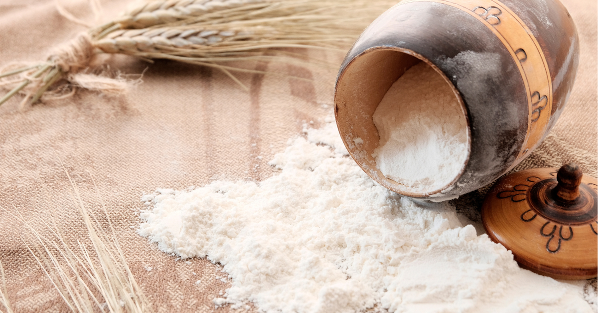 As melhores farinheiras para você guardar sua farinha - TudoGostoso