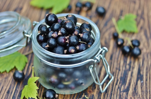 Cassis: o que é e seus benefícios para a saúde