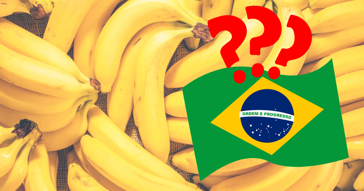 É verdade que a banana é uma fruta brasileira? TudoGostoso acaba com a ...