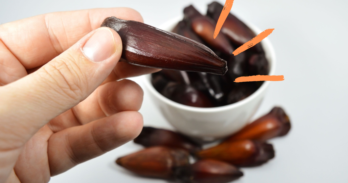 Benefícios e malefícios do pinhão: saiba por que comer essa semente ...
