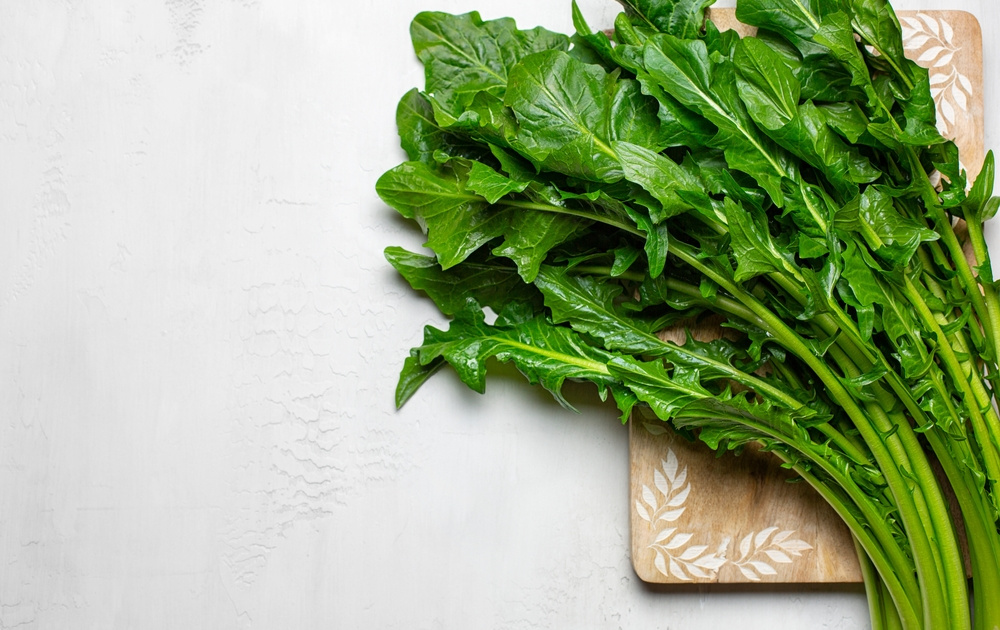 "É época de chicória": especialista gastronômico revela sua receita ...