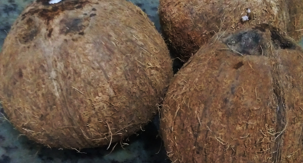 Receita de Óleo de coco, enviada por tami - TudoGostoso