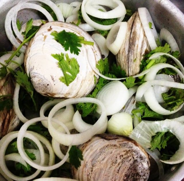 Receita de Lambreta acebolada, enviada por daniela miranda - TudoGostoso