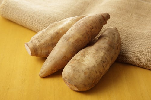 Batata yacon: conheça seus benefícios para a saúde