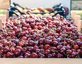6 alimentos cor de rosa para você incluir na sua alimentação já ...