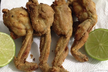 Receita de Rã frita, enviada por lucas santos - TudoGostoso