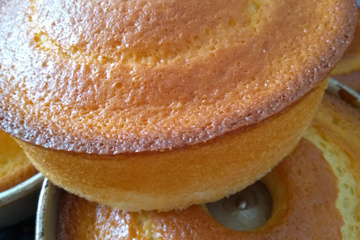 Receita de Bolo parmesão, enviada por luis fernando rocha - TudoGostoso