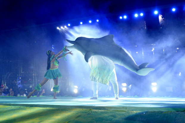 Boto Cor de Rosa vs Tucuxi: descubra a história do Festival dos Botos no Sairé - TudoGostoso