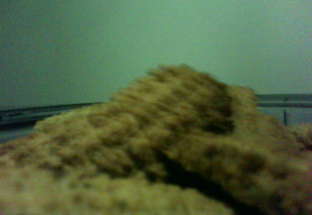 Receita de Biscoito integral, enviada por odete pereira de souza ...