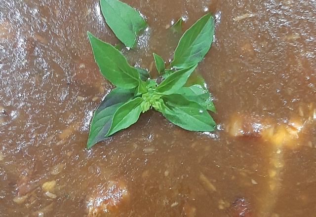 Receita de Molho Roti, enviada por stillo próprio gourmet - TudoGostoso